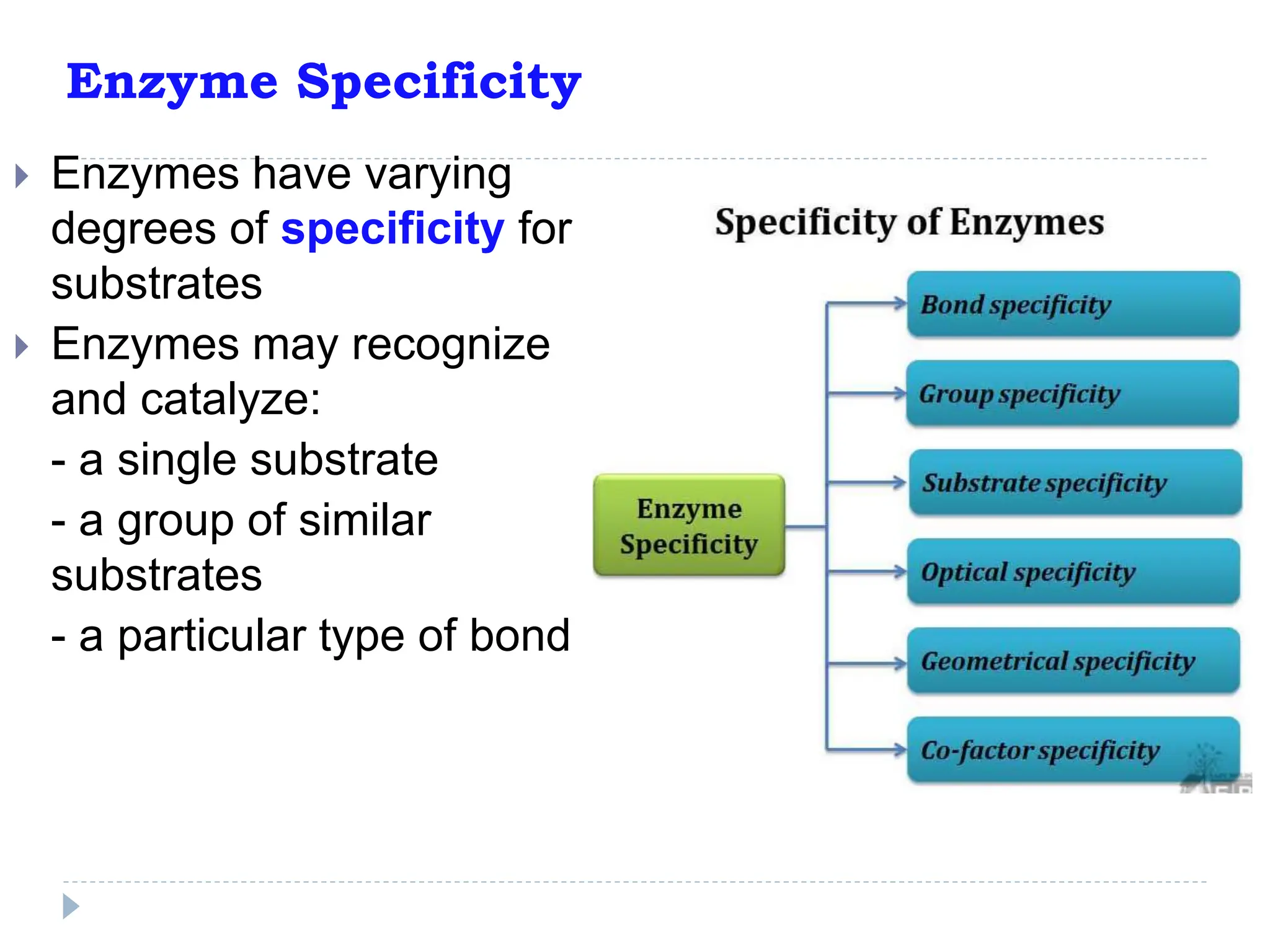 Chapter 3 Enzyme Mode of Action How enzyme works.pptx