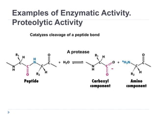 Chapter 3 Enzyme Mode of Action How enzyme works.pptx