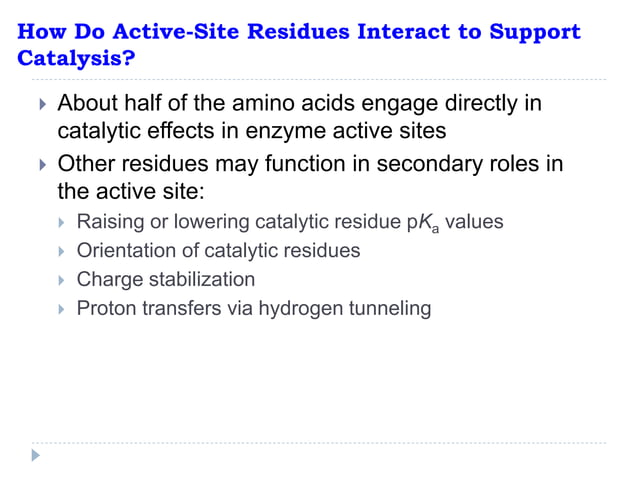 Chapter 3 Enzyme Mode of Action How enzyme works.pptx | Chemistry | Science