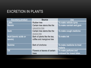 Chapter 3 excretion | PPTX