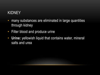 Chapter 3 excretion | PPT