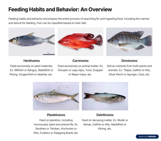 Chapter 3_Feeding Habits and Digestive Physiology of Fishes.pdf