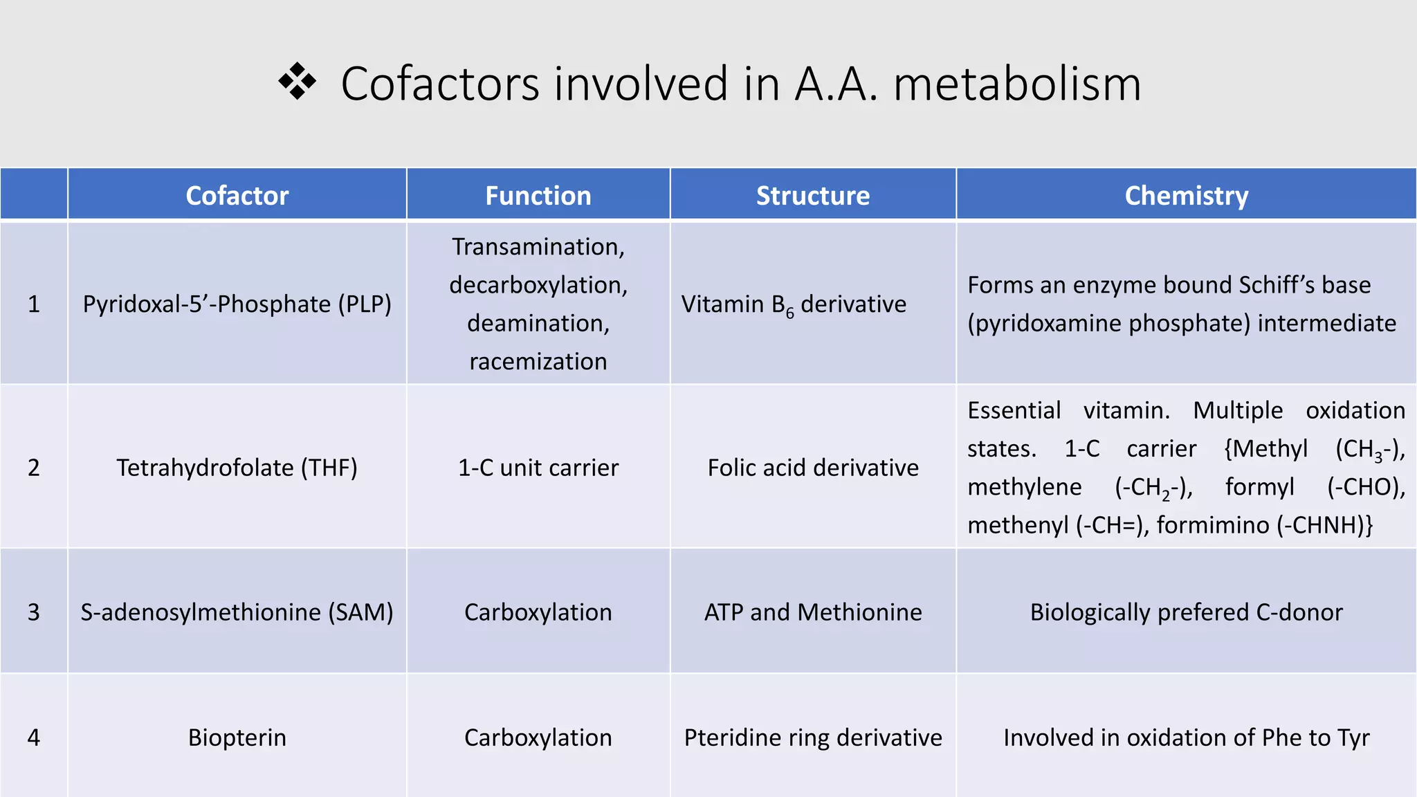 Amino Acid Metabolism | PPTX