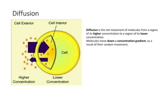chapter 3 form 3 igcse.pptx