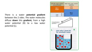 chapter 3 form 3 igcse.pptx