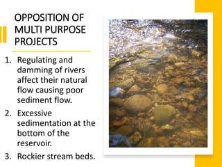 Chapter - 3, Water Resources, Geography, Social Science, Class 10 | PDF