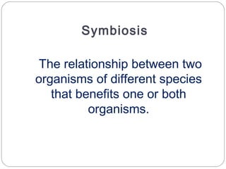 Chapter 3 good buddies! final | PPT