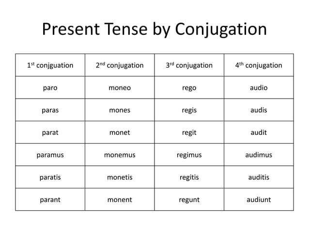 Chapter 3 grammar | PPT