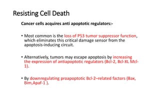 Chapter 3 hallmarks of cancer | PPTX