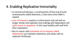 Chapter 3 hallmarks of cancer | PPTX