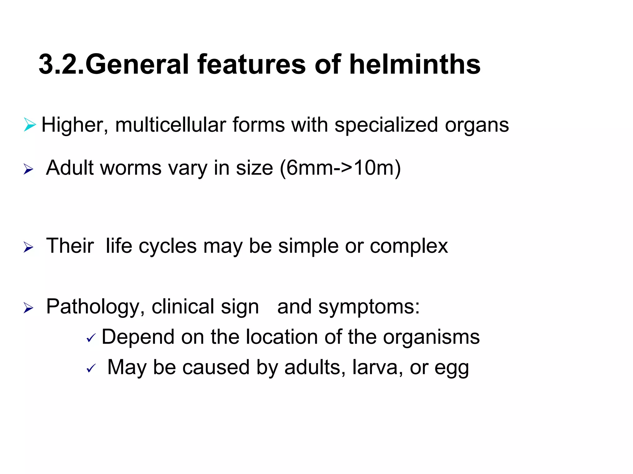Helminthes | PPT