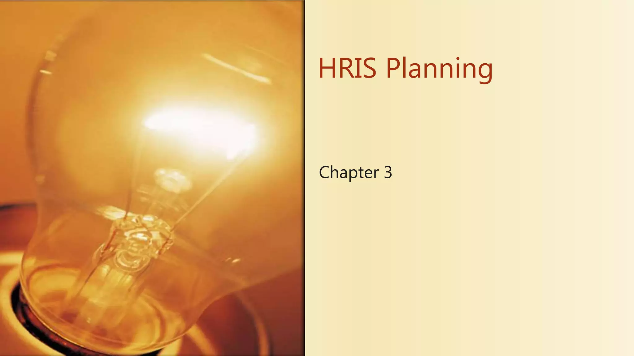 Chapter 3 hris planning | PPTX