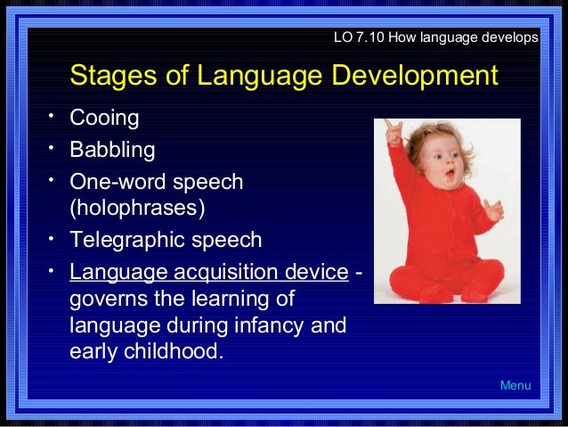 Chapter 3 human development