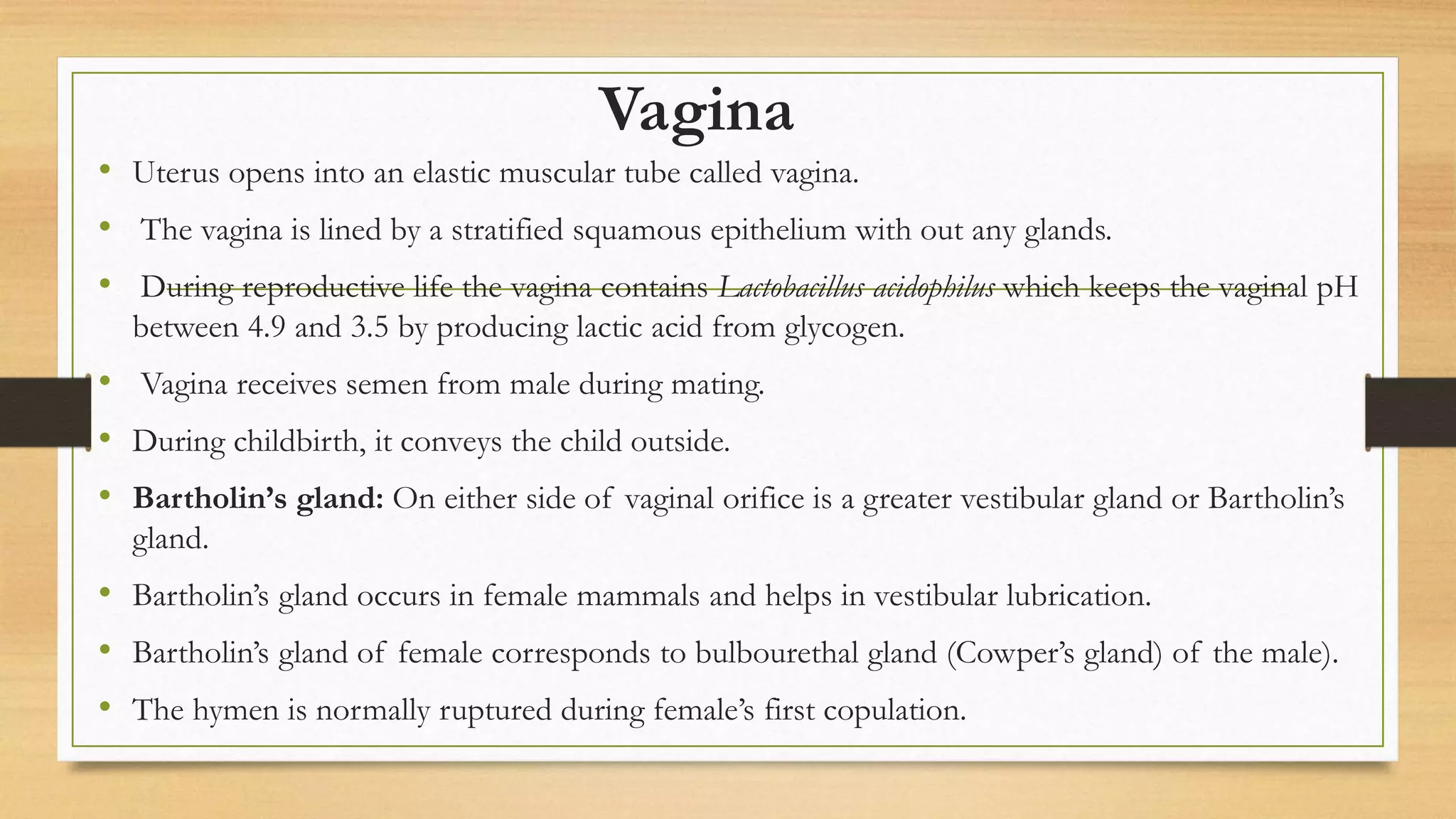 Chapter 3 human reproduction | PPTX