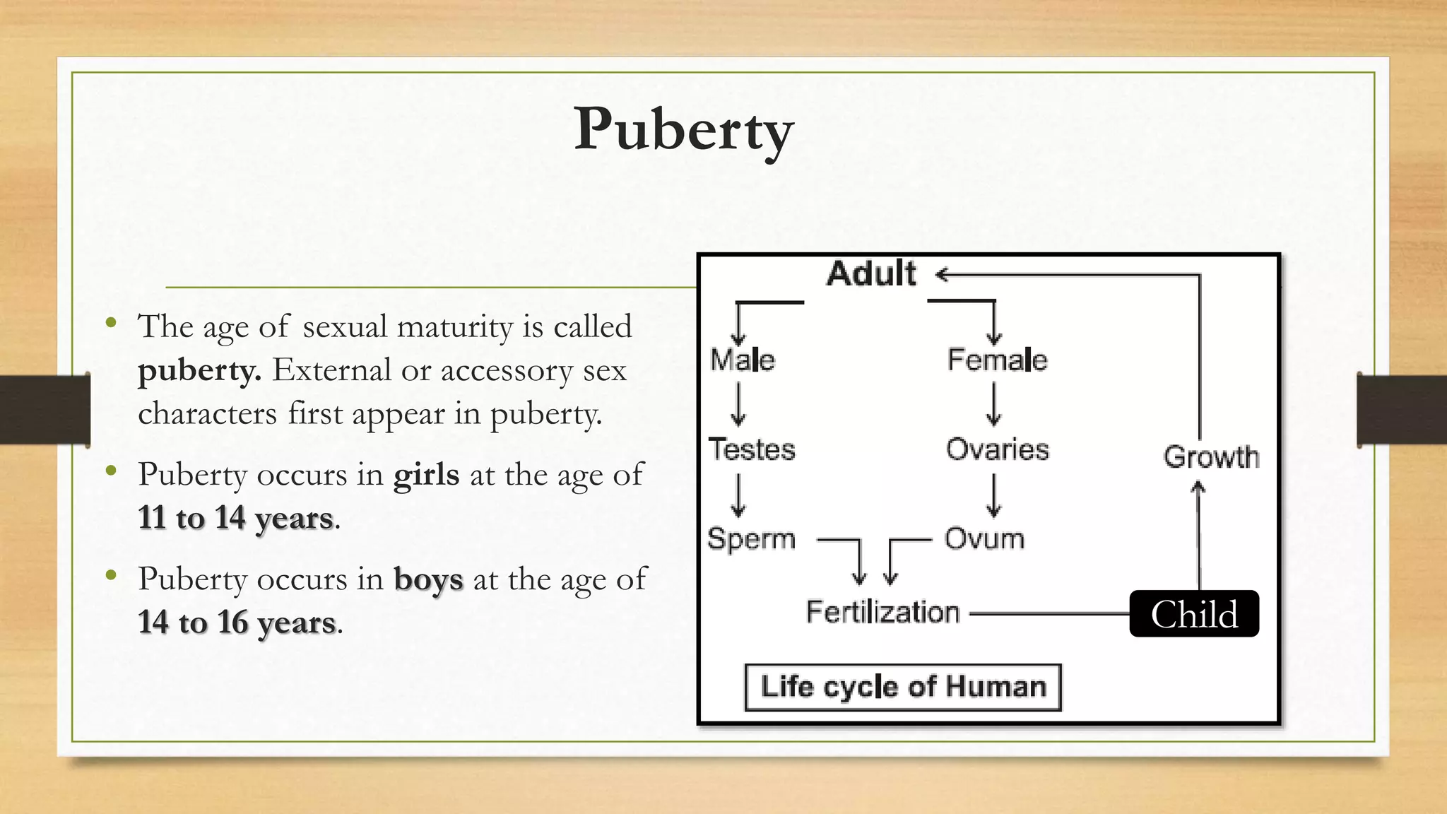 Chapter 3 human reproduction | PPTX
