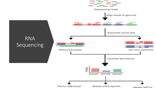 Transcriptomics(Microarray: Chip and Image Analysis).pptx