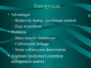 Chapter 3 immobilized enzymes | PPT
