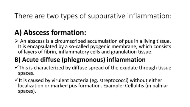 chapter 3 inflammation.pptx