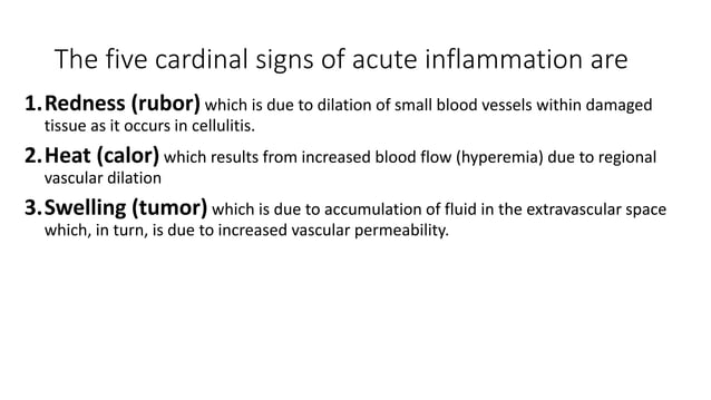 chapter 3 inflammation.pptx