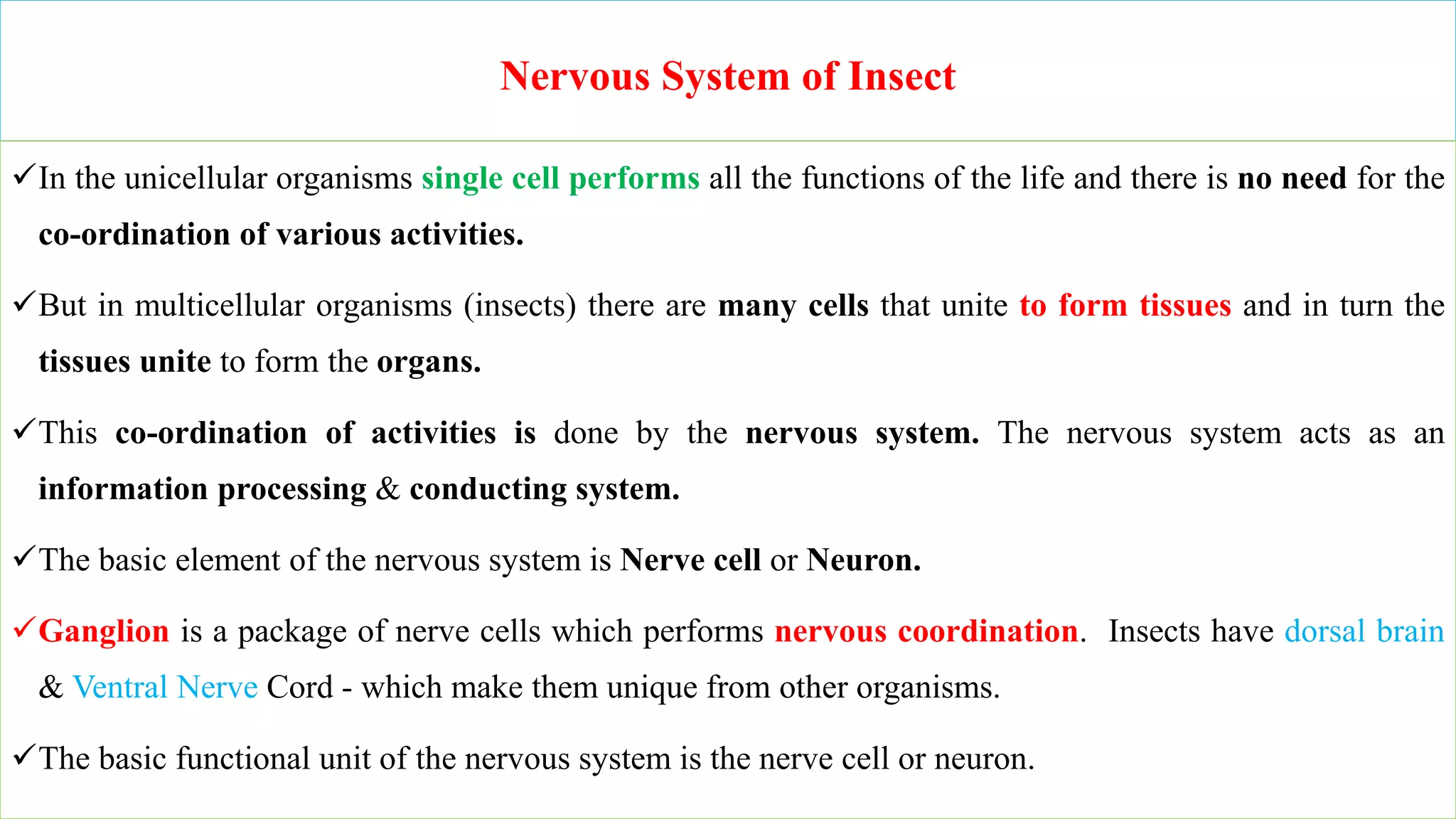 Chapter 3 Internal structure and function of insects.pptx