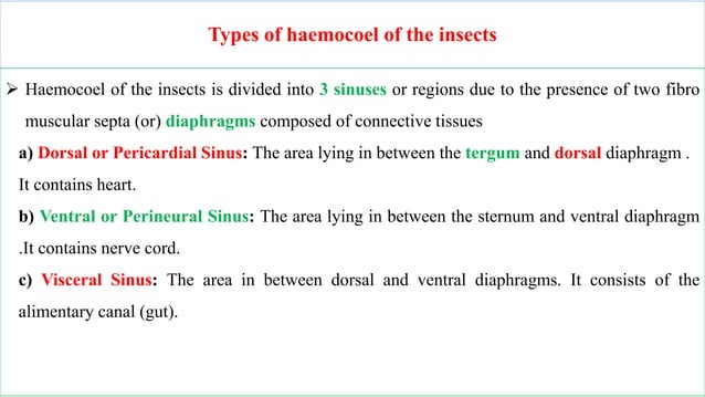 Chapter 3 Internal structure and function of insects.pptx