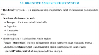 Chapter 3 Internal structure and function of insects.pptx