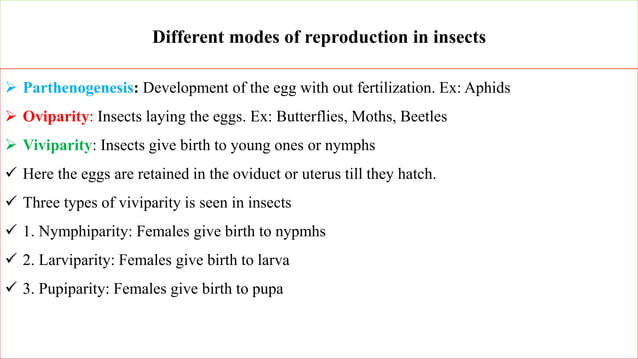 Chapter 3 Internal structure and function of insects.pptx