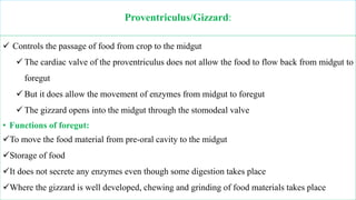 Chapter 3 Internal structure and function of insects.pptx