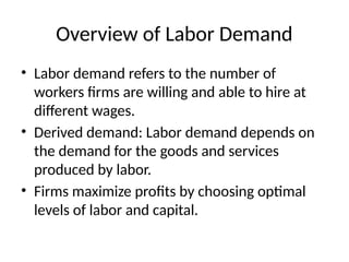 Chapter_3_Labor_Demand lecture Expanded .pptx