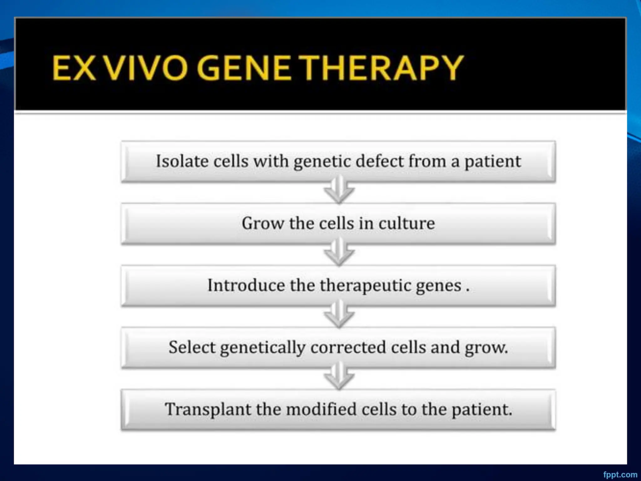 Chapter 3 Lesson 5 The Aspects of Gene Therapy (STS).pdf
