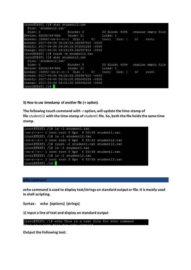 Chapter 4 Linux Basic Commands | PDF