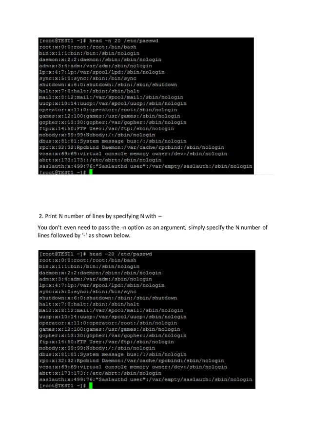 Chapter 4 Linux Basic Commands | PDF