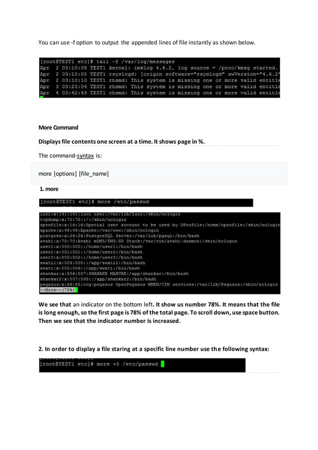 Chapter 4 Linux Basic Commands | PDF