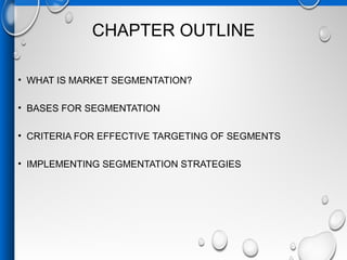 Chapter 3 Market segmentation | PPT