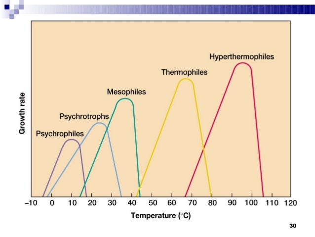 Chapter 3 Microbial growth