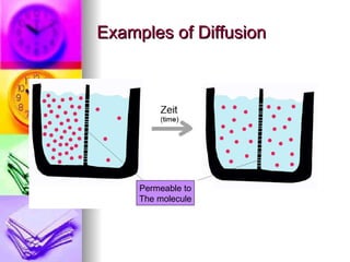 Chapter 3 Movement Of Substances | PPT