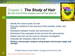 chapter3_notes hair as forensic samples.ppt
