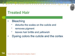 chapter3_notes hair as forensic samples.ppt