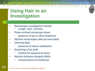 chapter3_notes hair as forensic samples.ppt
