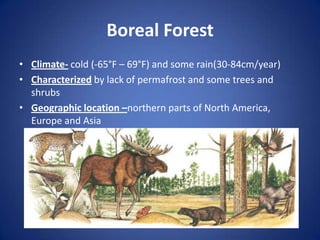 Chapter 3 notes communities, biomes and ecosystems | PPTX