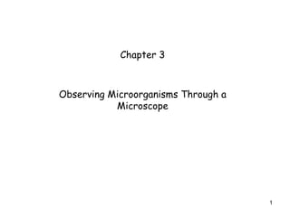 Chapter 3 observing microrganisms partial | PPT