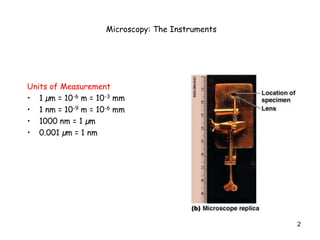 Chapter 3 observing microrganisms partial | PPT