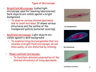 Chapter 3 observing microrganisms partial | PPT