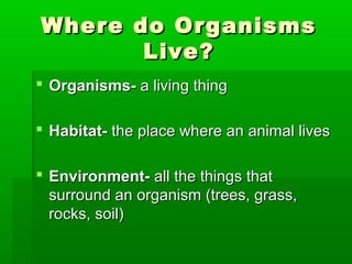 Chapter 3 Animal Adaptations | PPT