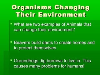 Chapter 3 Animal Adaptations | PPT