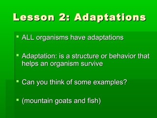 Chapter 3 Animal Adaptations | PPT