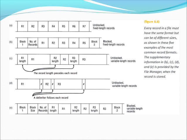 Chapter 3 part 1 | PPT