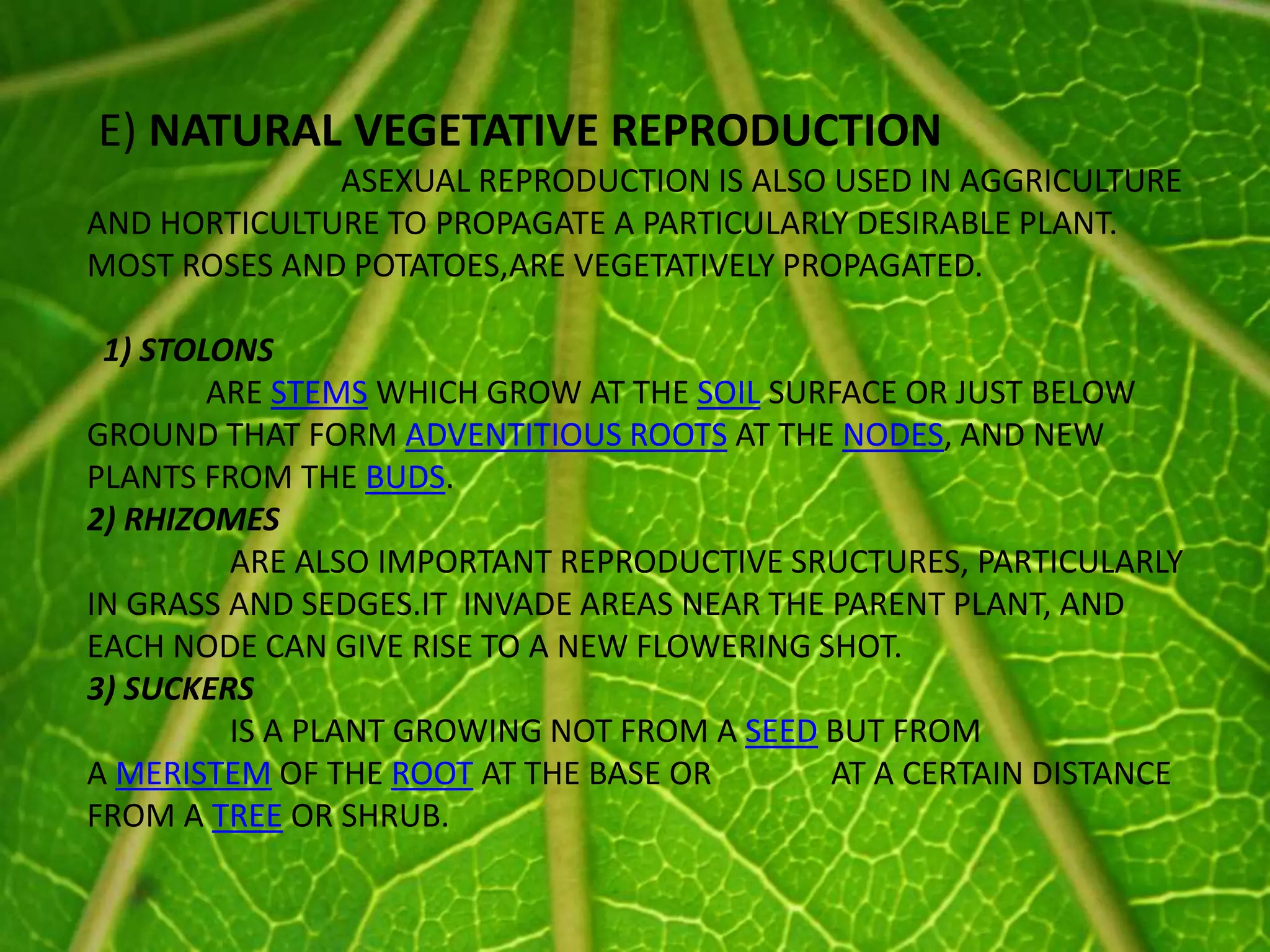 Chapter 3 : Perpetuation of Life | PPTX