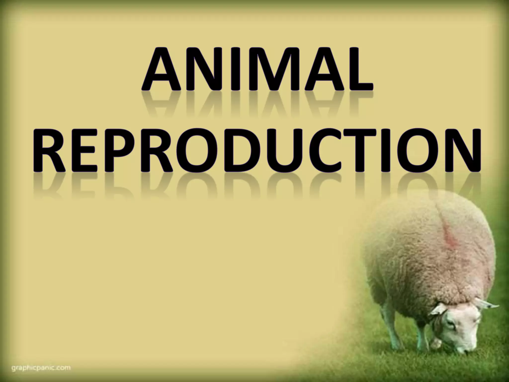 Chapter 3 : Perpetuation of Life | PPTX