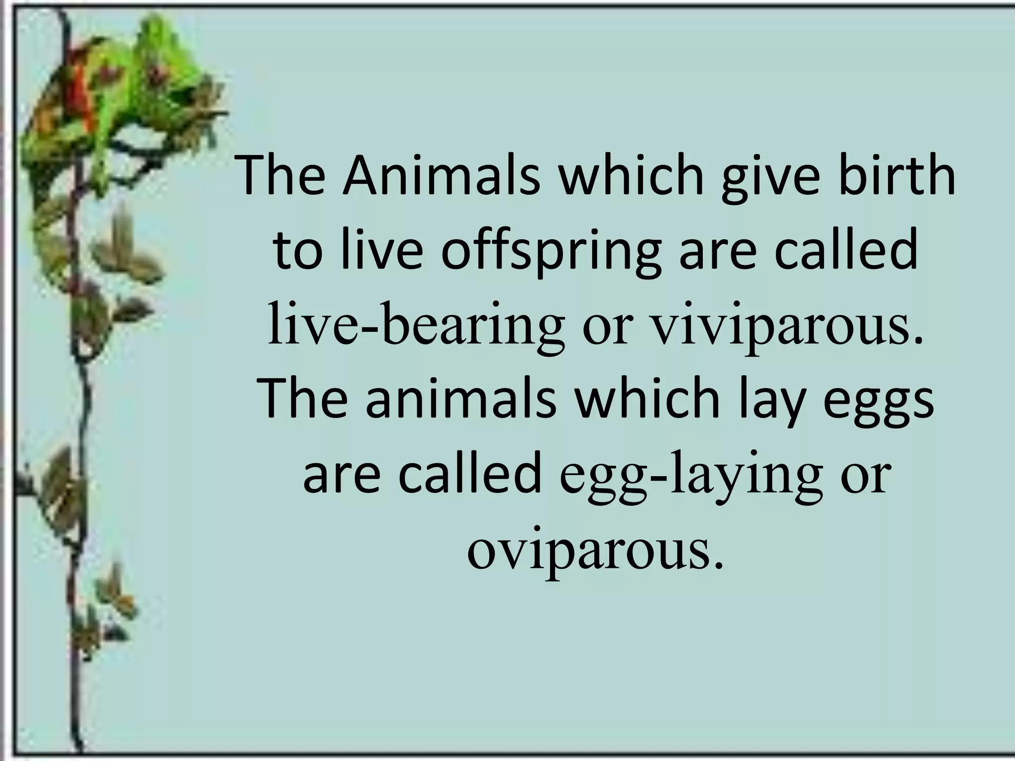 Chapter 3 : Perpetuation of Life | PPTX